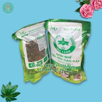 Cách bón phân cho cây cảnh trong nhà - Chậu Cây Giá Rẻ